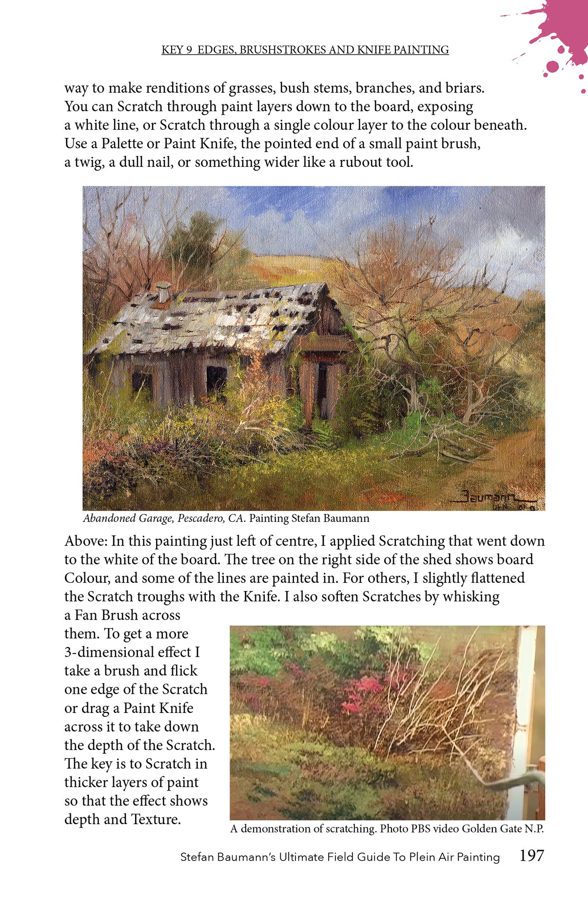 Stefan Baumann's Ultimate Field Guide to Plein Air Painting – Budreau Publishing and Design